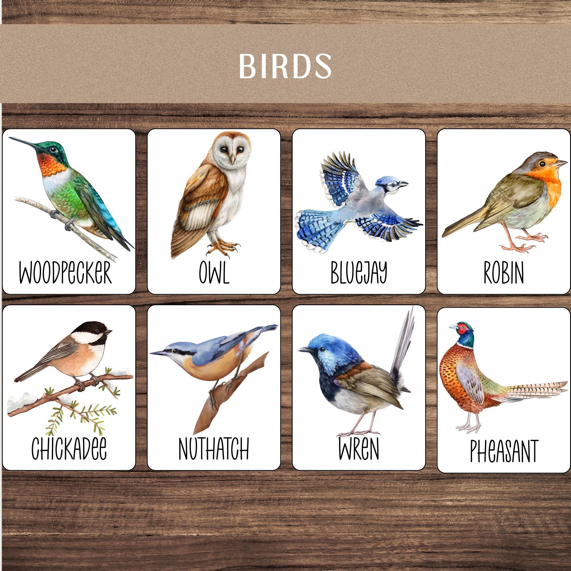 Woodland Animals Flashcards | Nature-themed Learning (PDF) - Etsy
