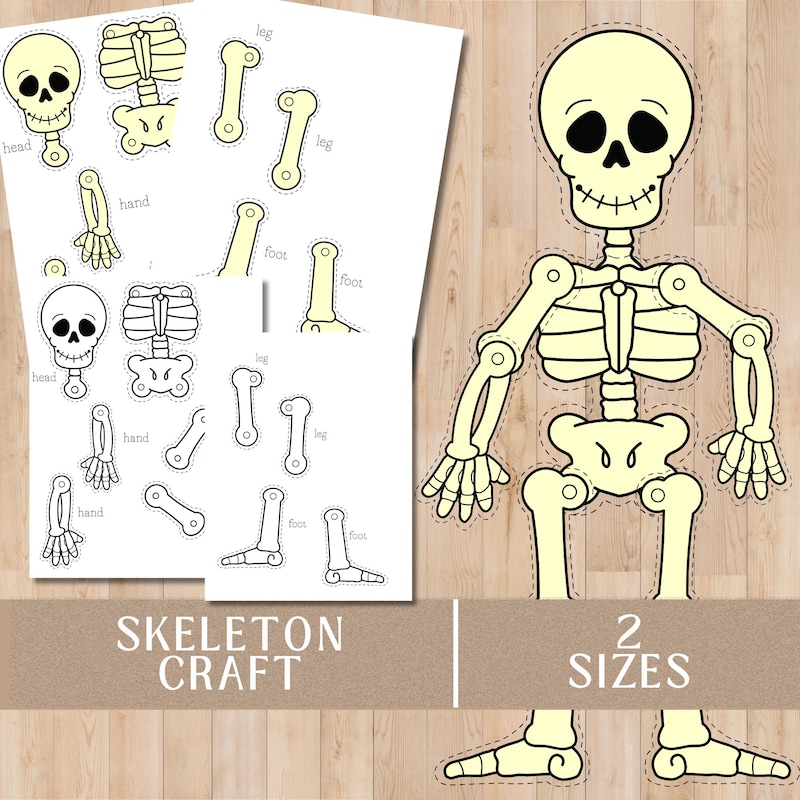 Human Anatomy Printable - Etsy
