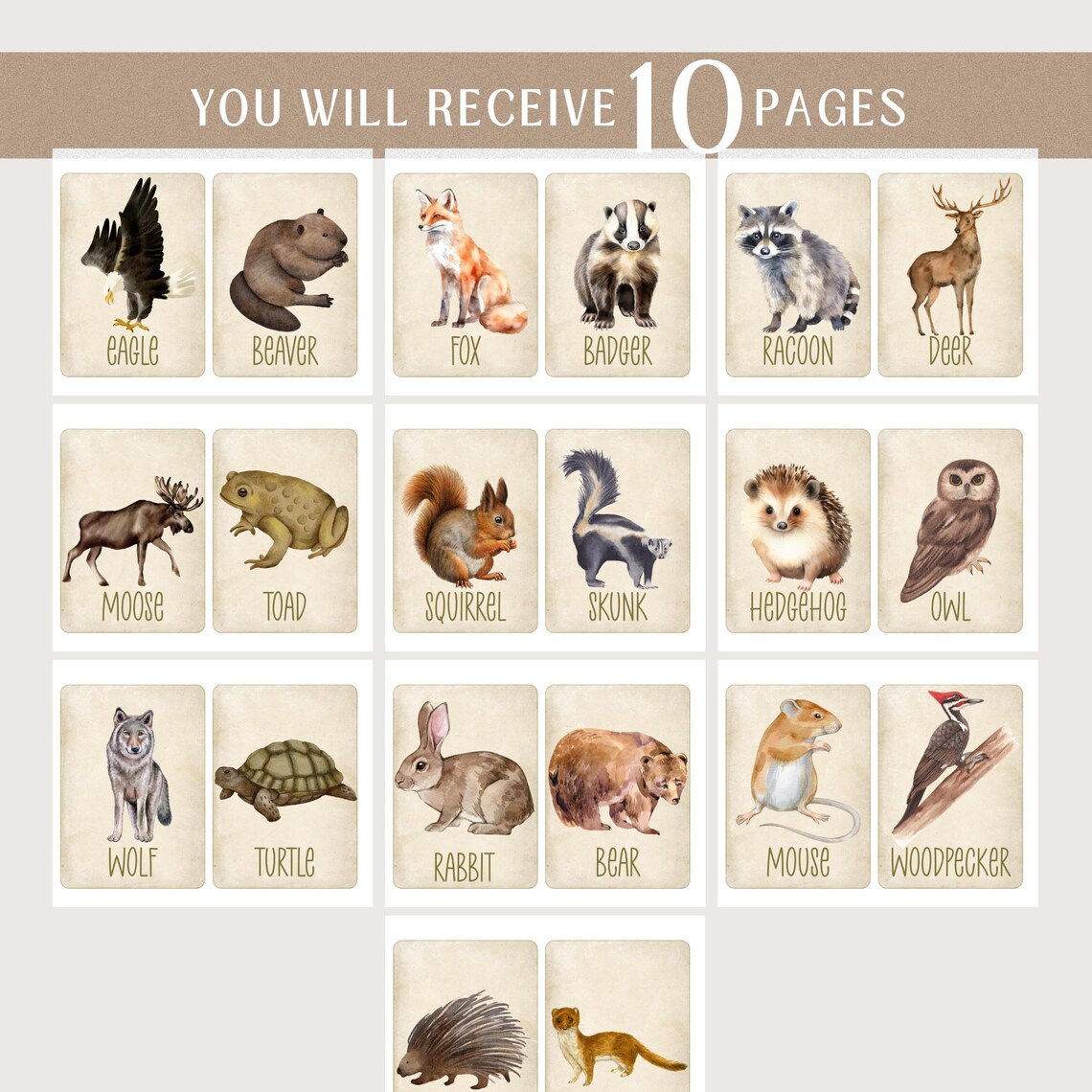 Woodland Animal Flashcards Printable Pack | 20 Nature Inspired Cards ...