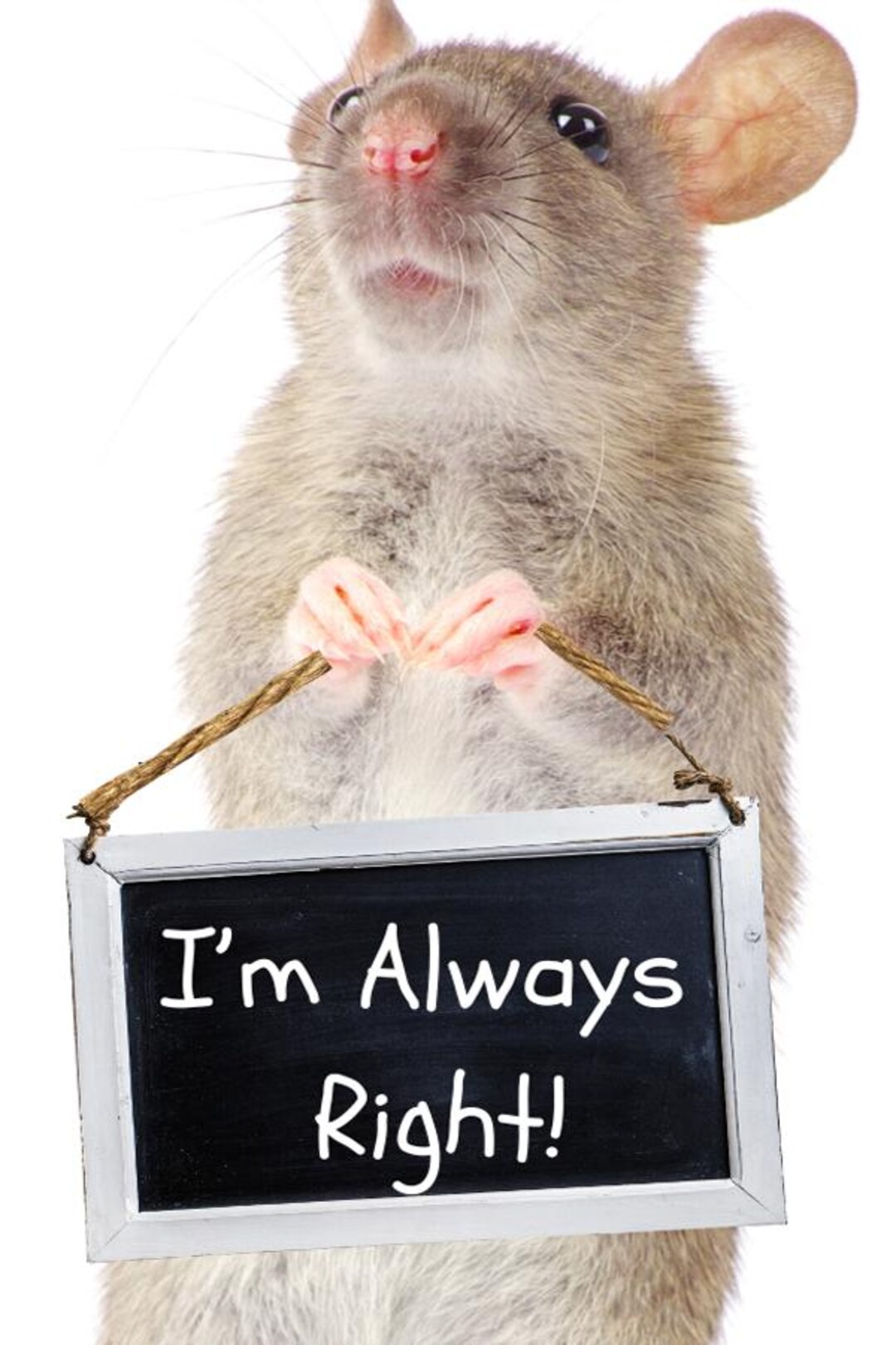 Bookmarks With Cute Rat, Customizable & Printable, Makes Perfect Gift ...