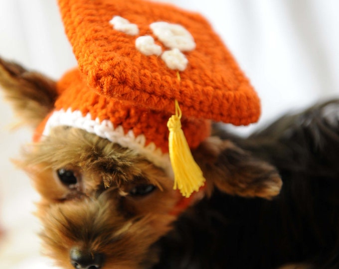 Burnt Orange UT Graduation Cap for Dogs - Etsy