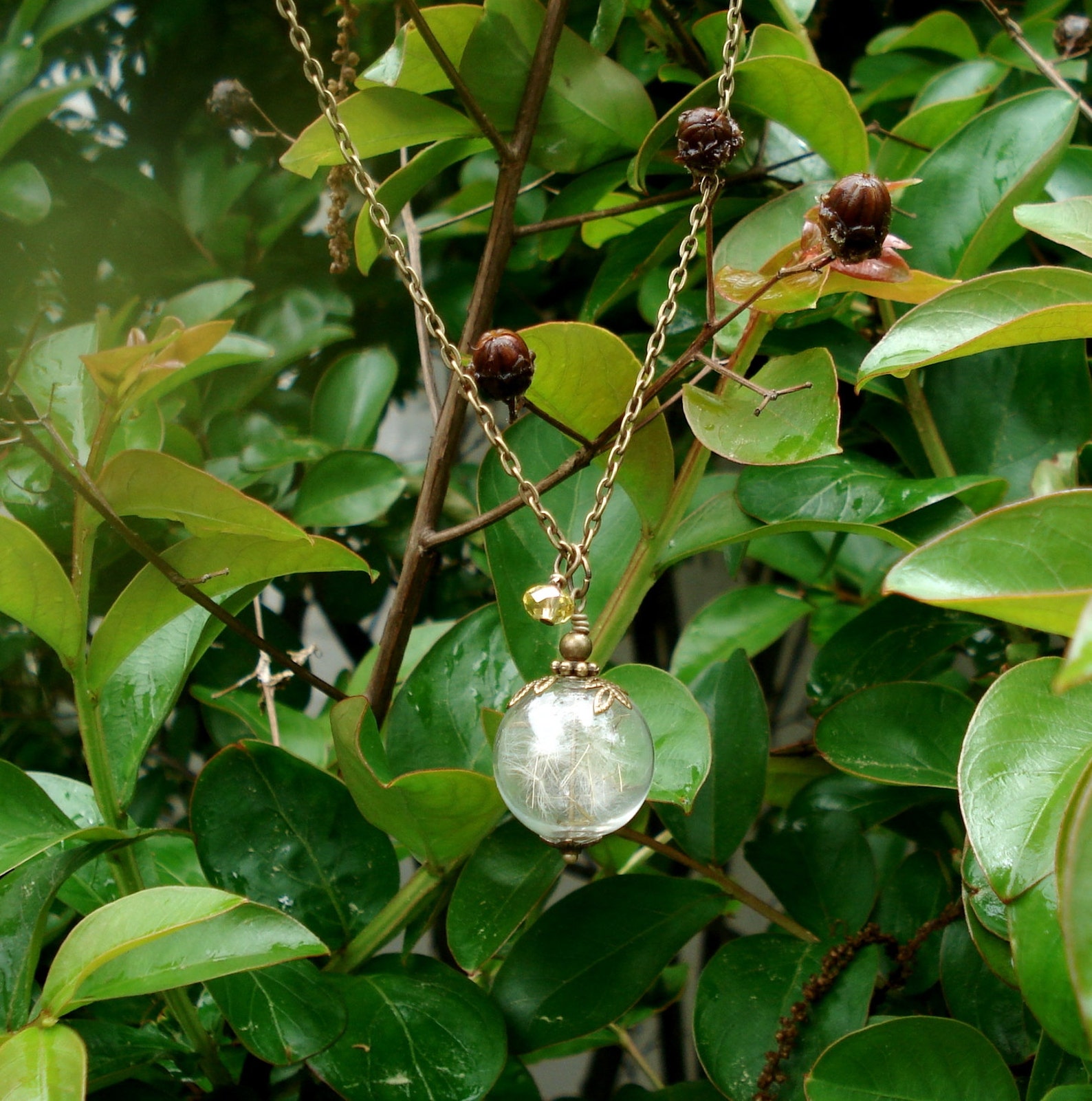 Dandelion Necklace Dandelion Flower Brass Necklace Onlywish - Etsy