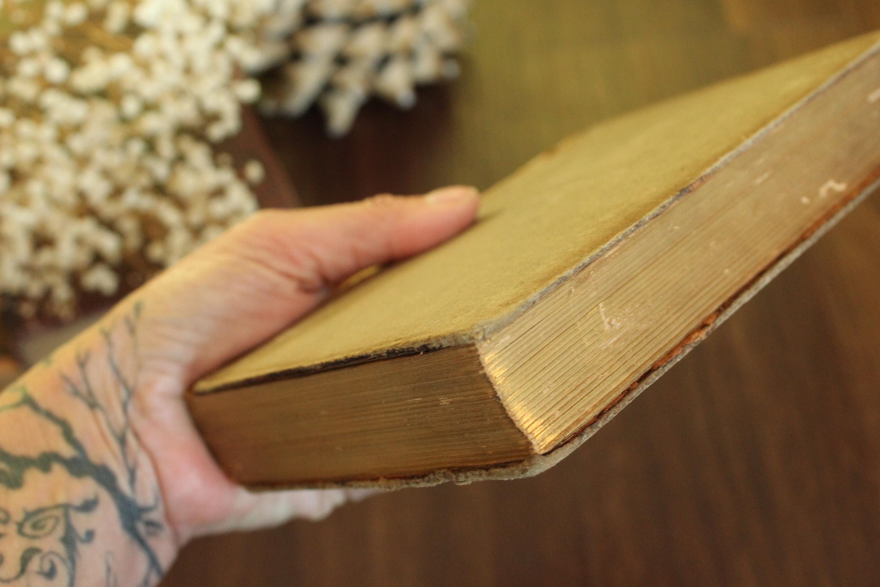 Vintage 1880s Book, Elizabeth Barrett Browning, Aurora Leigh, A Poem in ...
