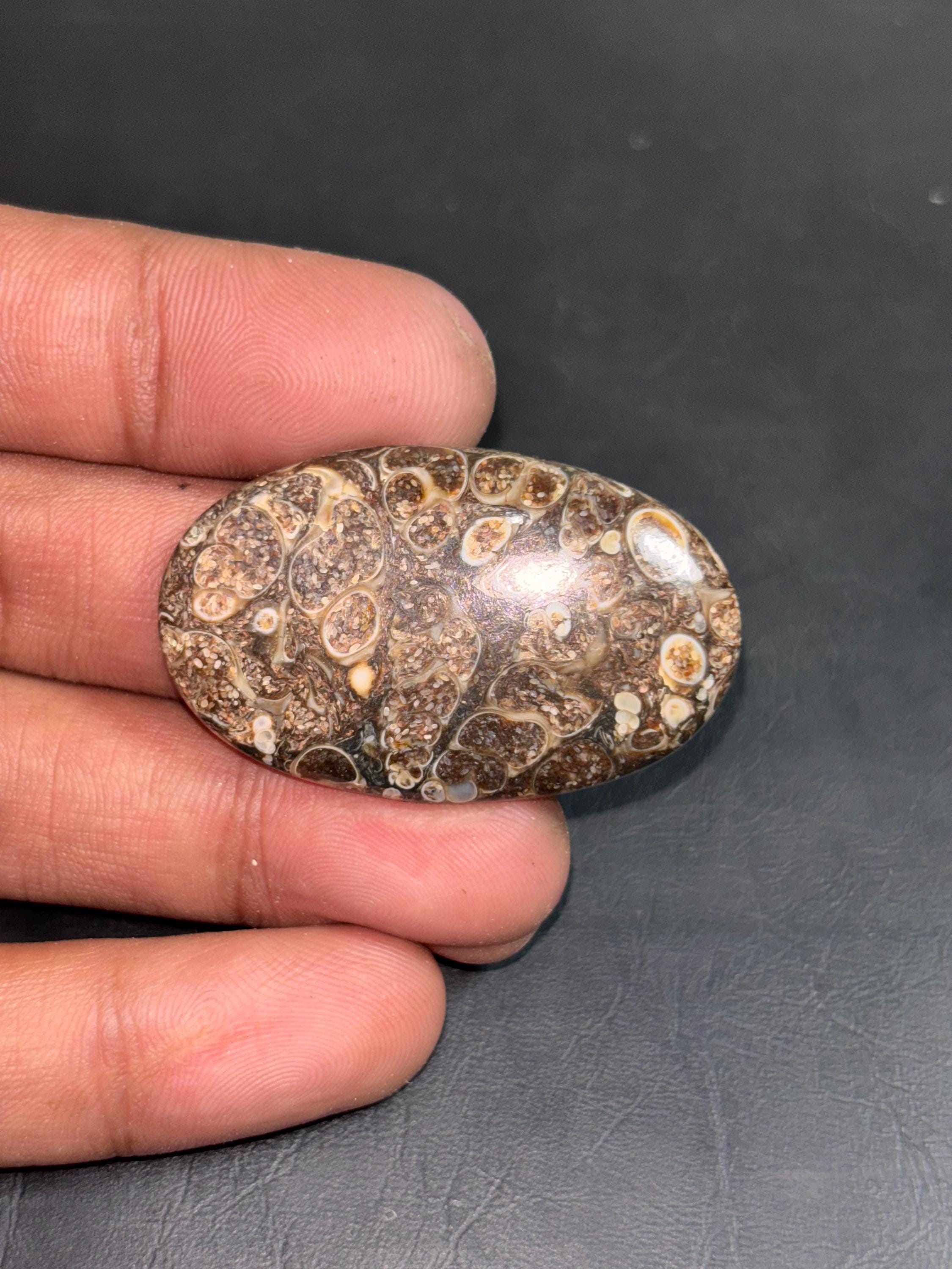 Turritella Agate Gemstone Narutal Cabochons Turritella Agate Polished ...