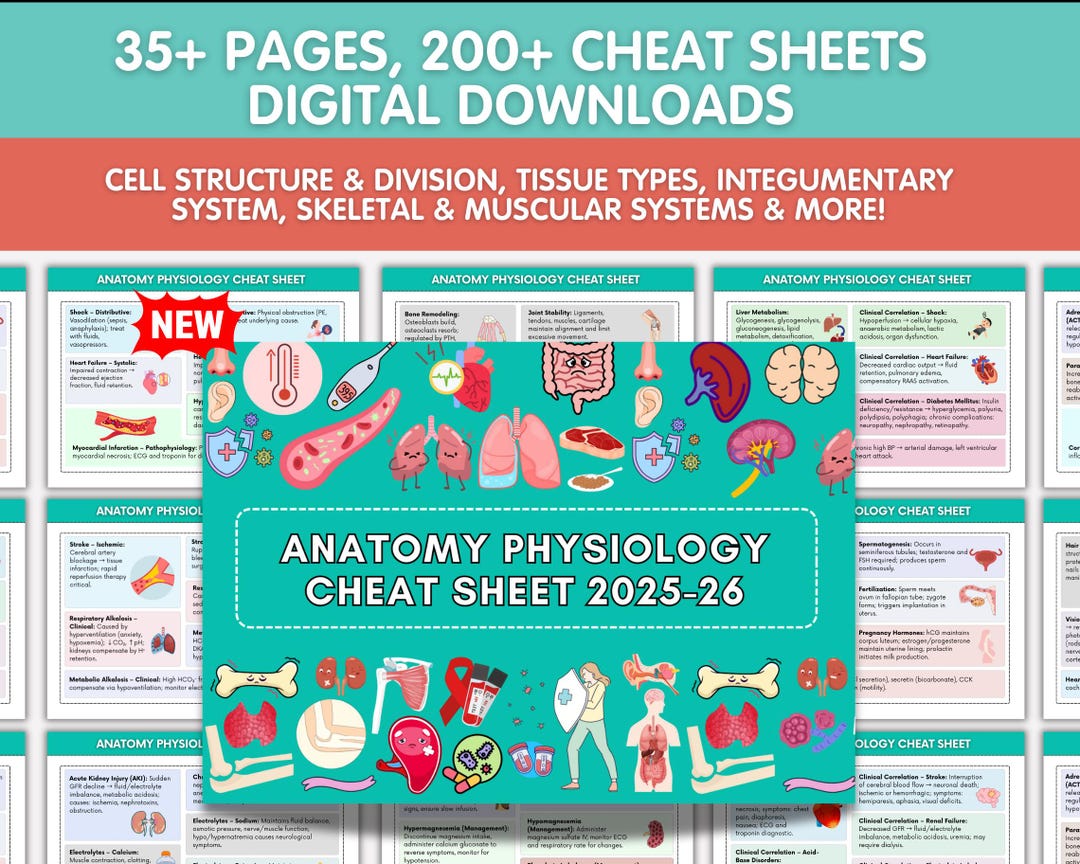 Anatomy Physiology Nursing Flashcards, A&P Cheat Sheets (digital ...