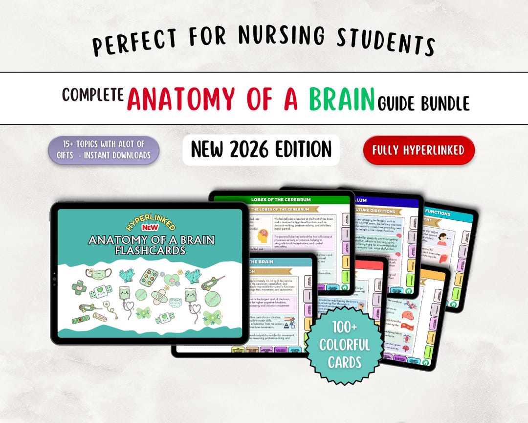 Anatomy Physiology of a Brain Flashcards, Hyperlinked 100+ Cards, 2026 ...