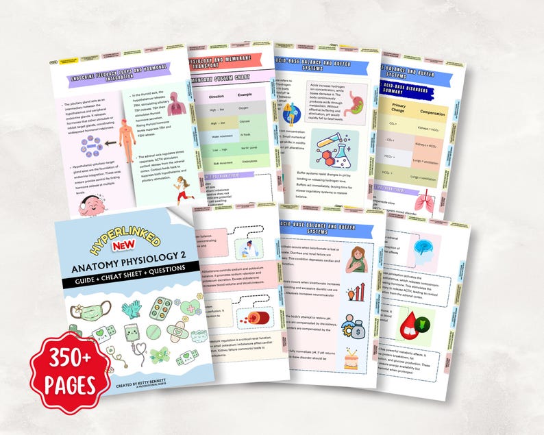 Anatomy Physiology Bundle, Flashcards, Cheat Sheets (digital Download ...