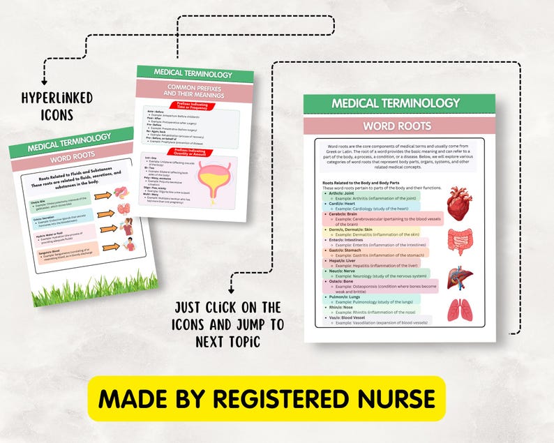 Medical Terminology Study Guide, Prefixes, Suffixes, Abbreviations (PDF ...