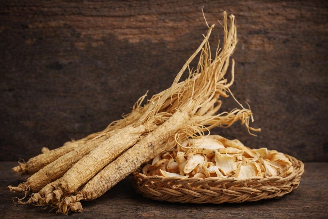 10 Asian Ginseng Seeds (panax Ginseng) – Medicinal Perennial Herb ...