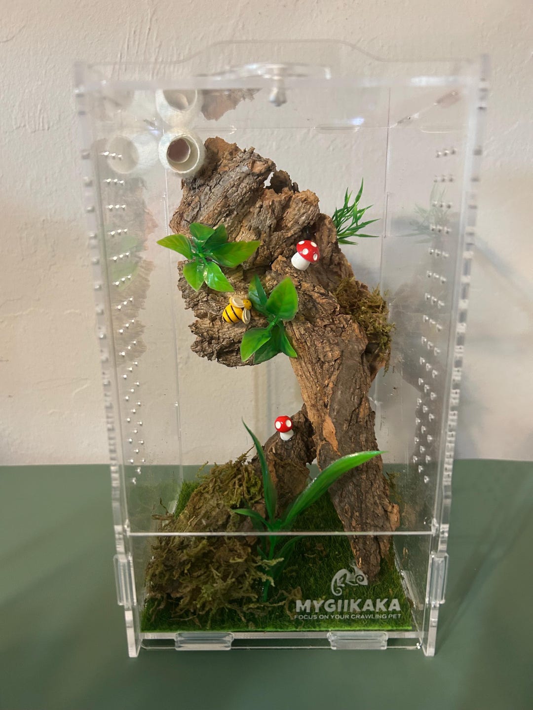 Custom Jumping Spider Enclosure - Etsy