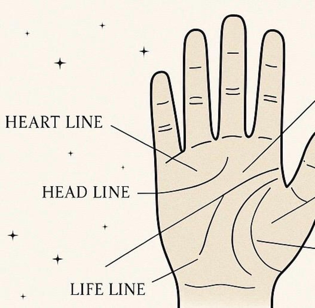 Palm Reading Guide: Beginner's Palmistry Cheat Sheet (PDF Download) - Etsy