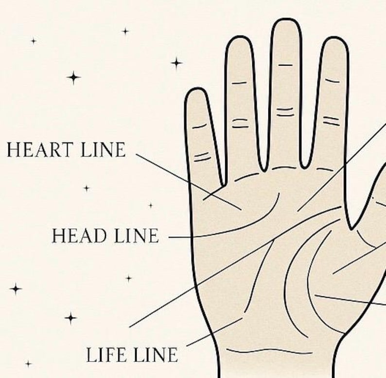 Palm Reading Guide: Beginner's Palmistry Cheat Sheet (PDF Download) - Etsy