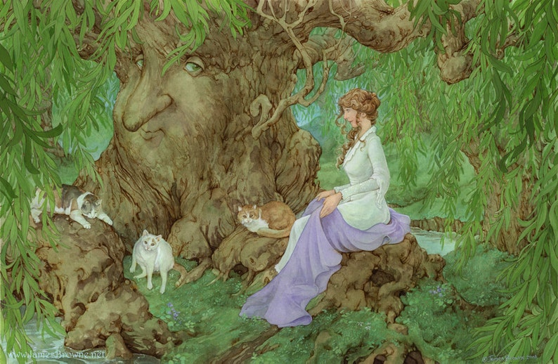 Meeting at the Willow Cat Maiden 8.5x11 Signed Print - Etsy