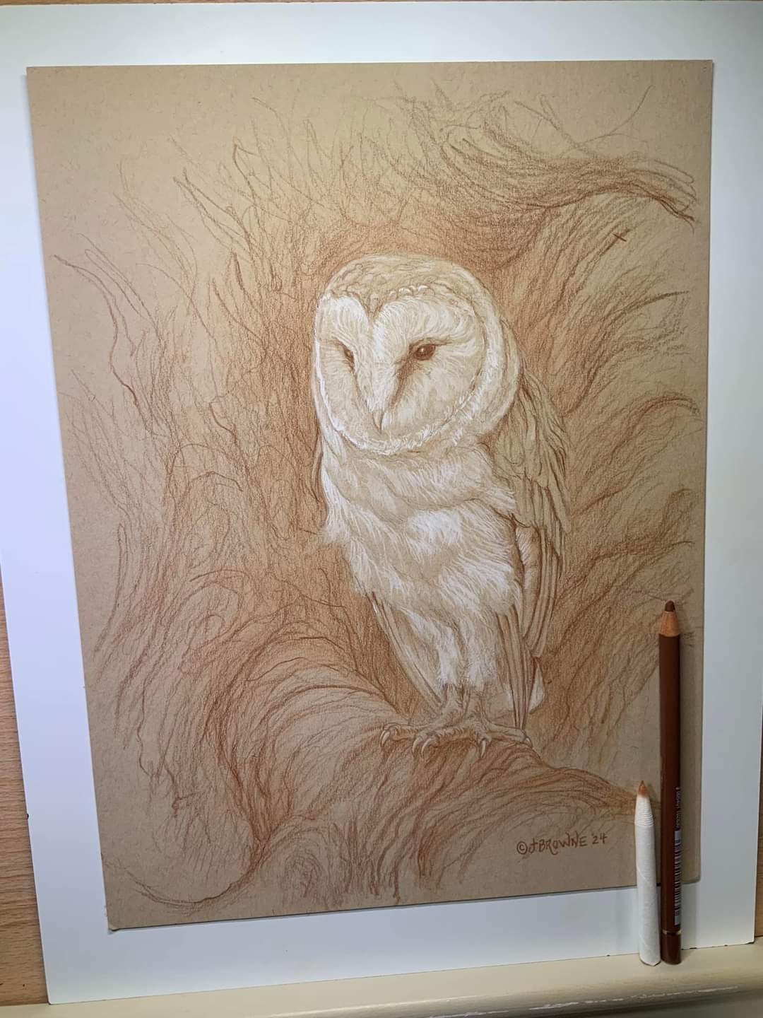 Barn Owl Original Sepia and Gesso 9x12 Drawing OOAK - Etsy