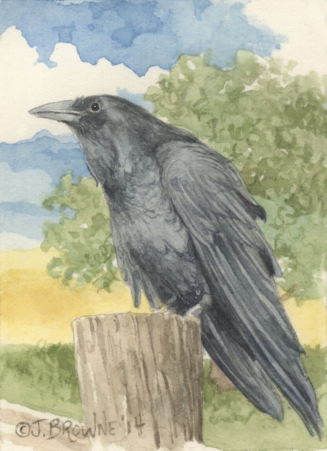 Raven 5x7 Signed Print - Etsy