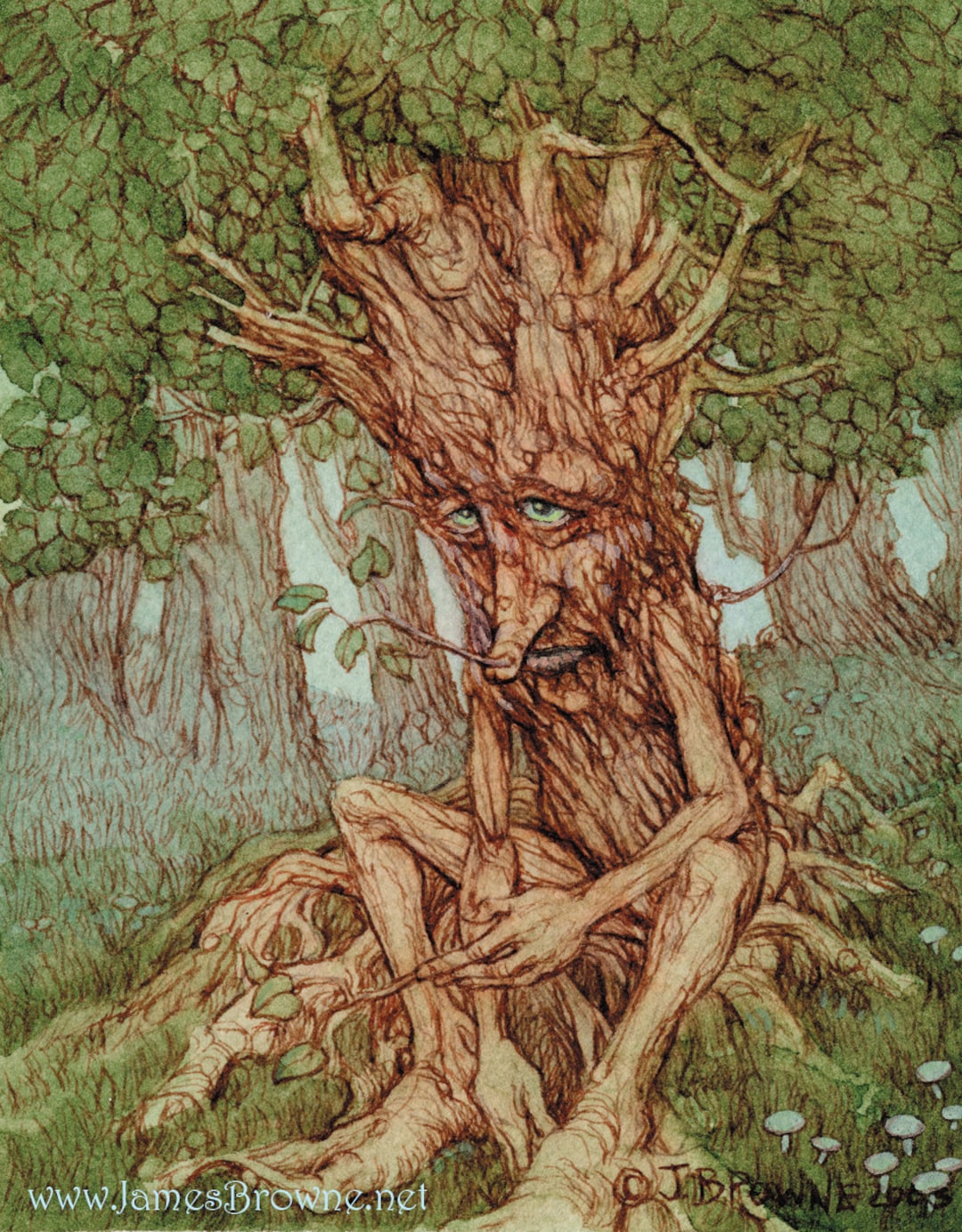 Rootfoot Tree Ent Signed 8.5x11 Print - Etsy