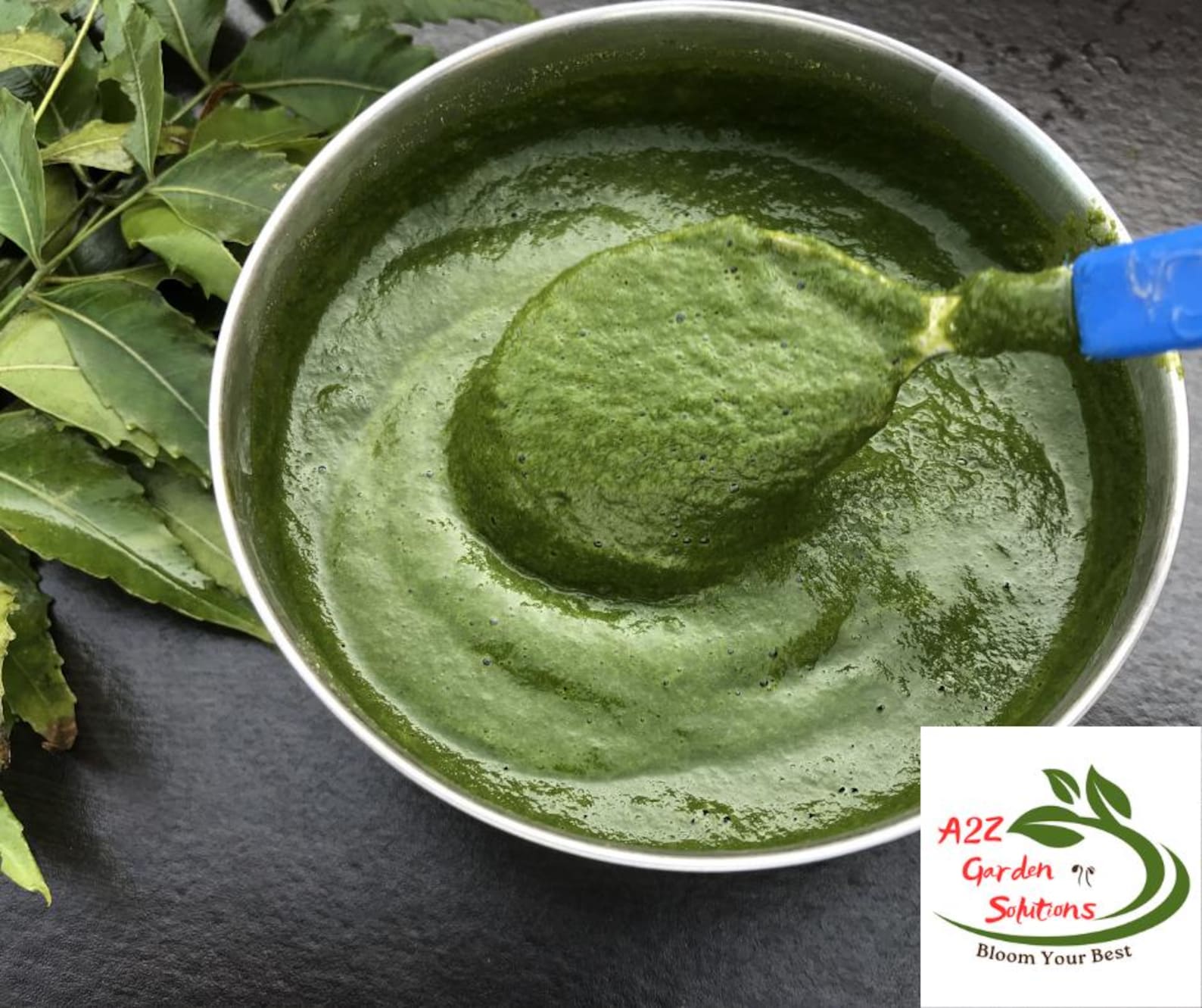 Neem Farm-fresh Leaves | Healthy Living - Etsy
