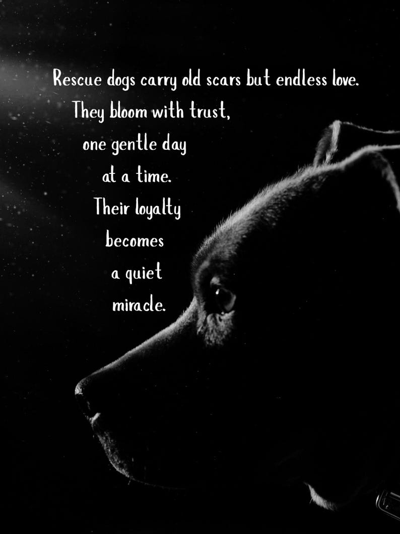 Rescue Dog Printable Wall Art – Inspirational Pet Quote, Dog Lover Gift ...