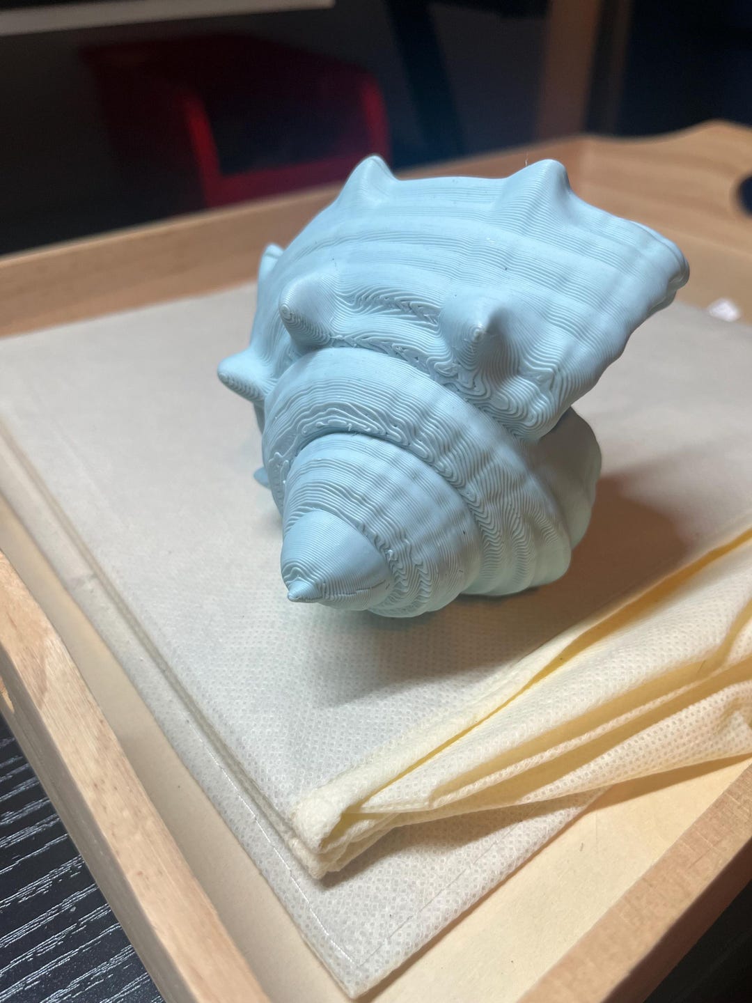 Seashell Décor Piece - Etsy