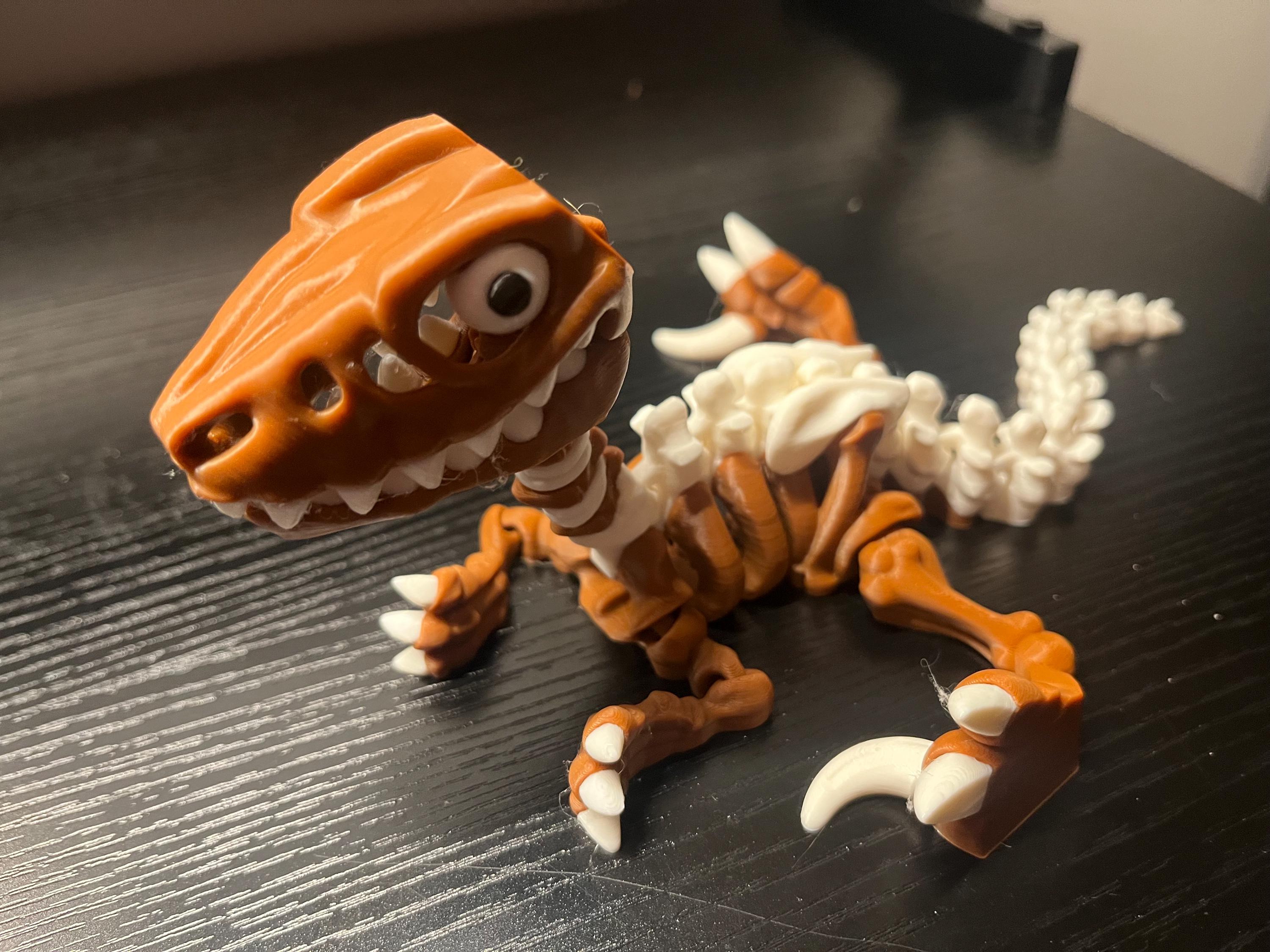 3D Printed Cartoon Raptor Skeleton, Articulated Dino Figure - Etsy