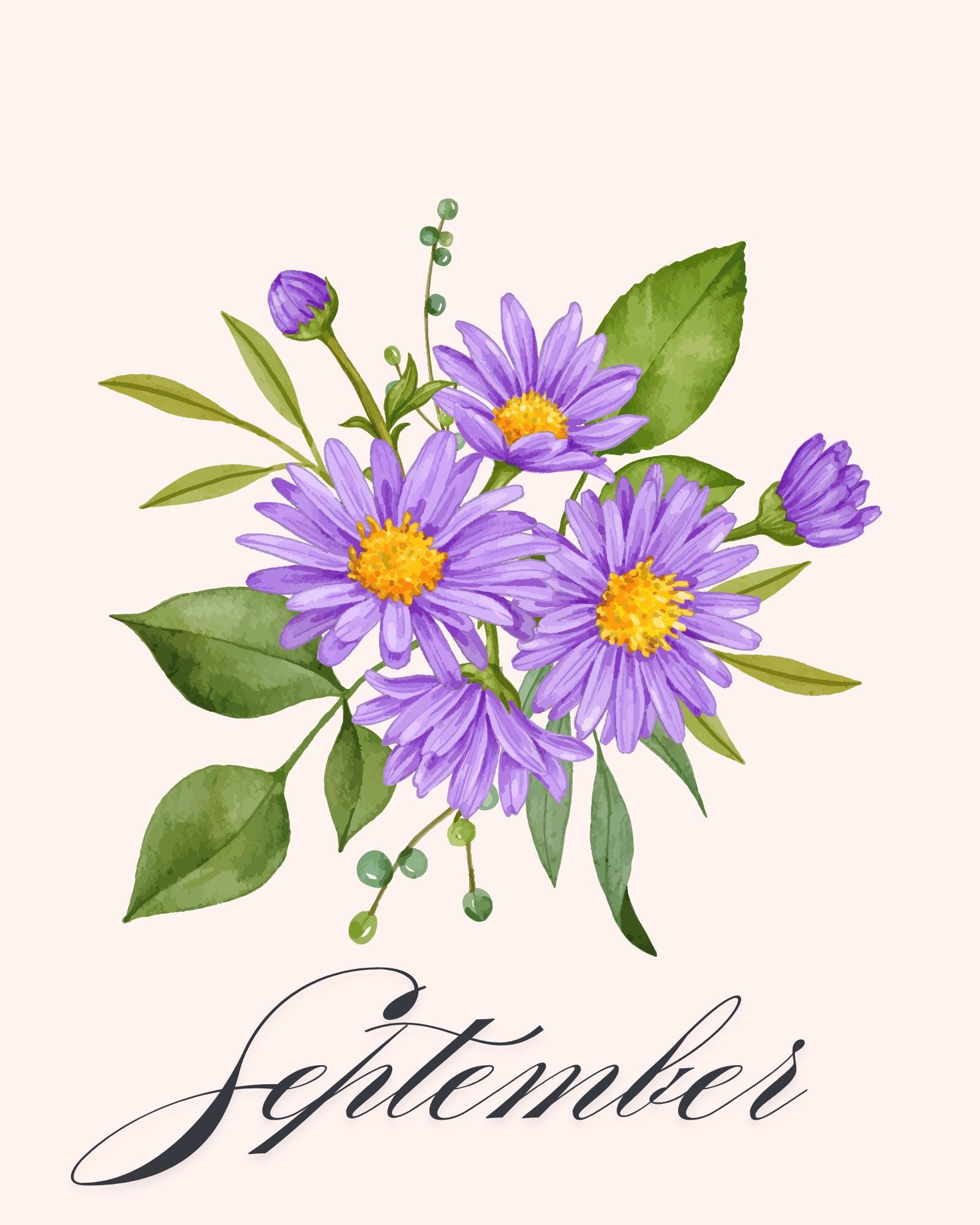 September Birth Flower Printable | Aster Floral Wall Art | Birth Month ...