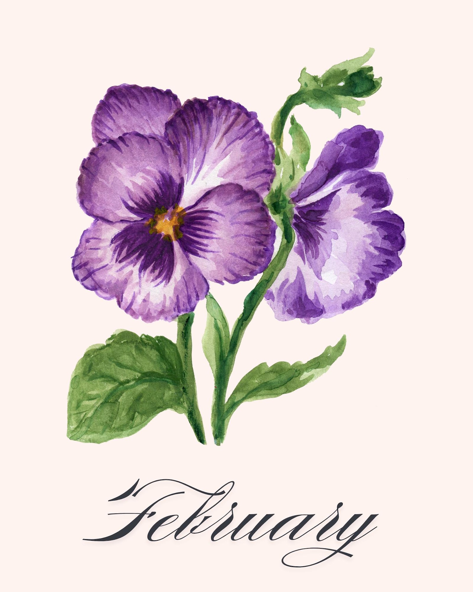 February Birth Flower Printable | Violet Floral Wall Art | Birth Month ...