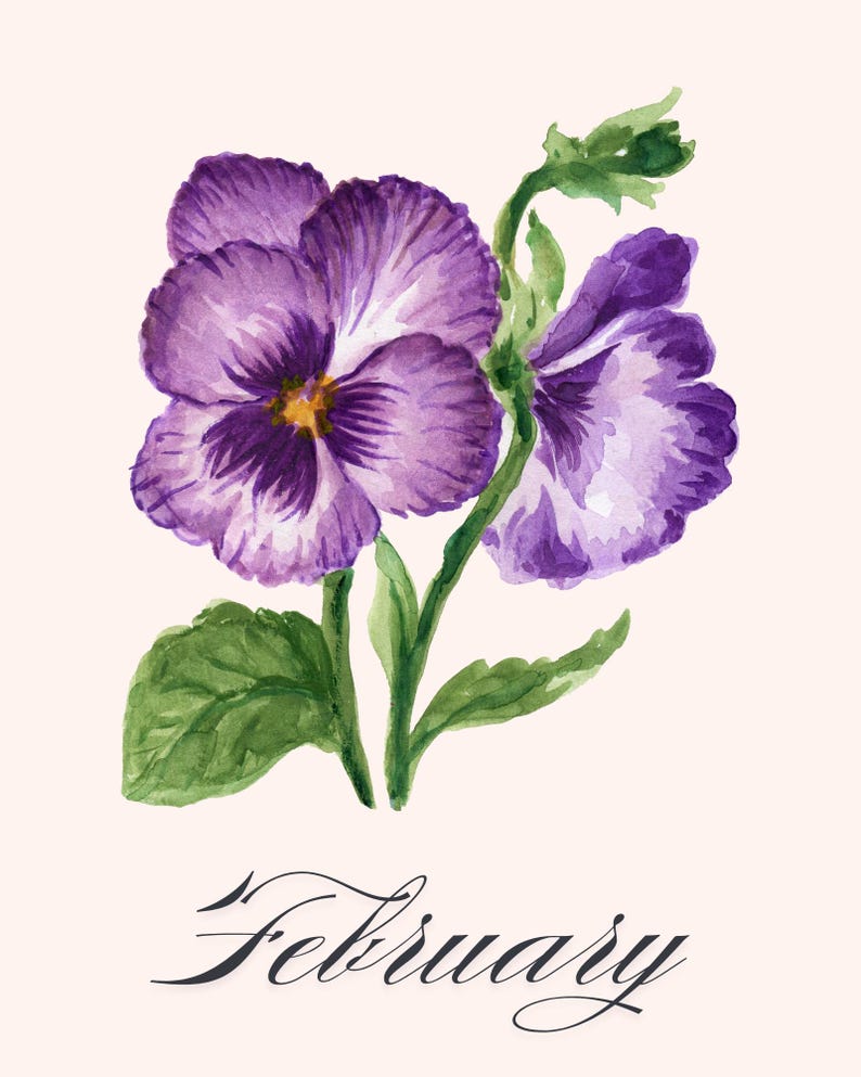 February Birth Flower Printable | Violet Floral Wall Art | Birth Month ...