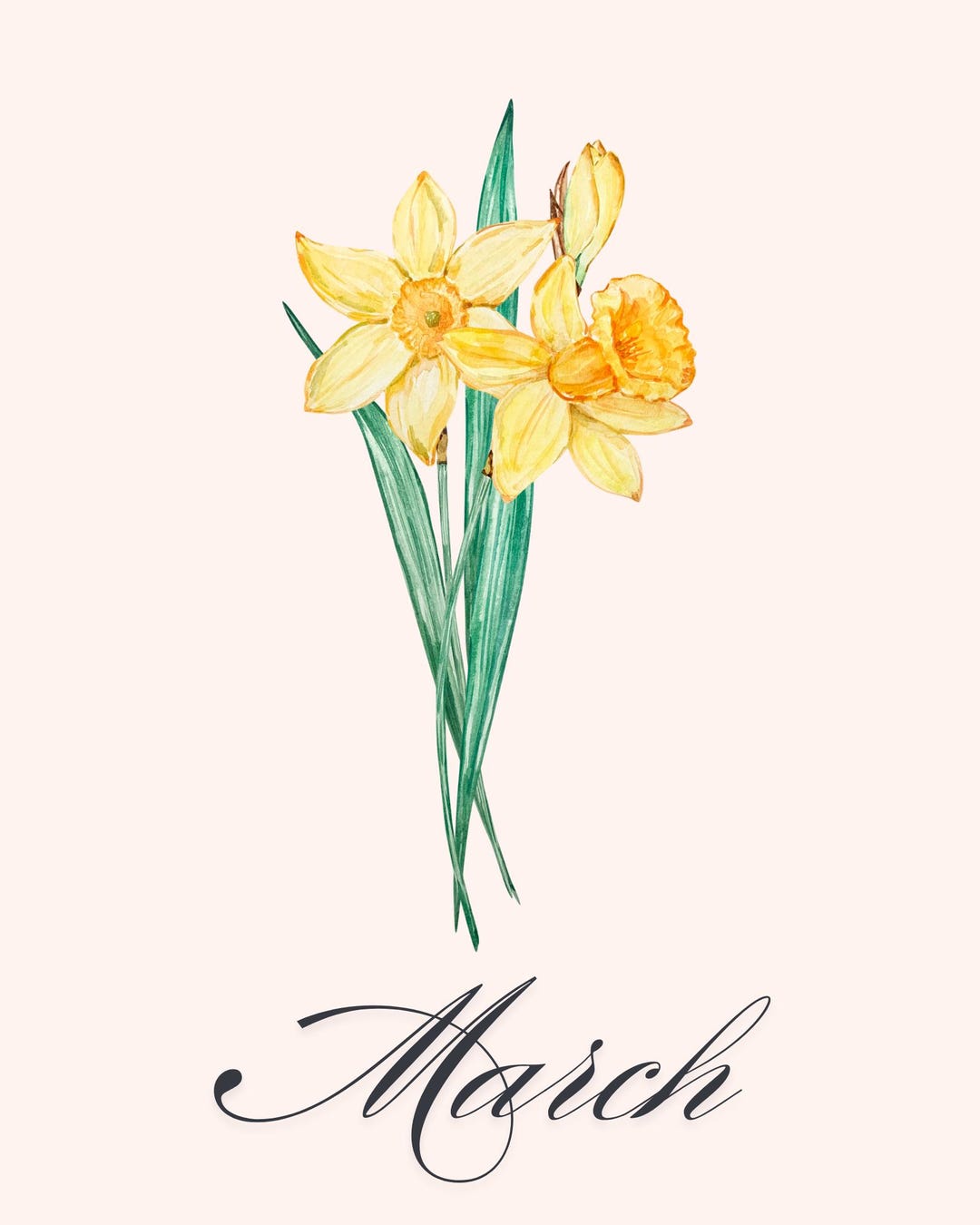 March Birth Flower Printable | Daffodil Wall Art | March Birthday Gift ...