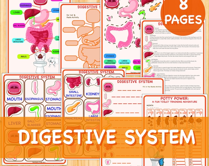 Human Digestive System Anatomy Bundle, About Me Homeschool Curriculum ...