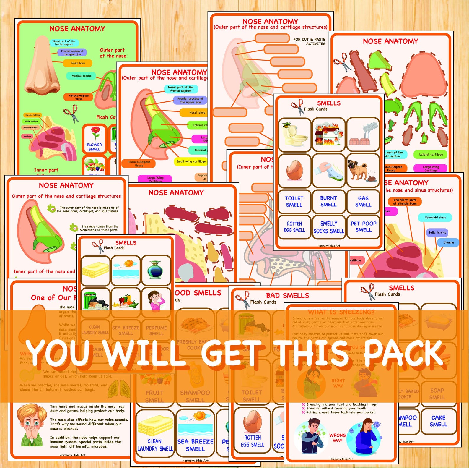 Nose Anatomy Busy Book: Montessori Homeschool Printable (digital ...