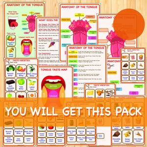Tounge Anatomy Busy Book What's the Tongue & Sense of Taste Flash Cards ...