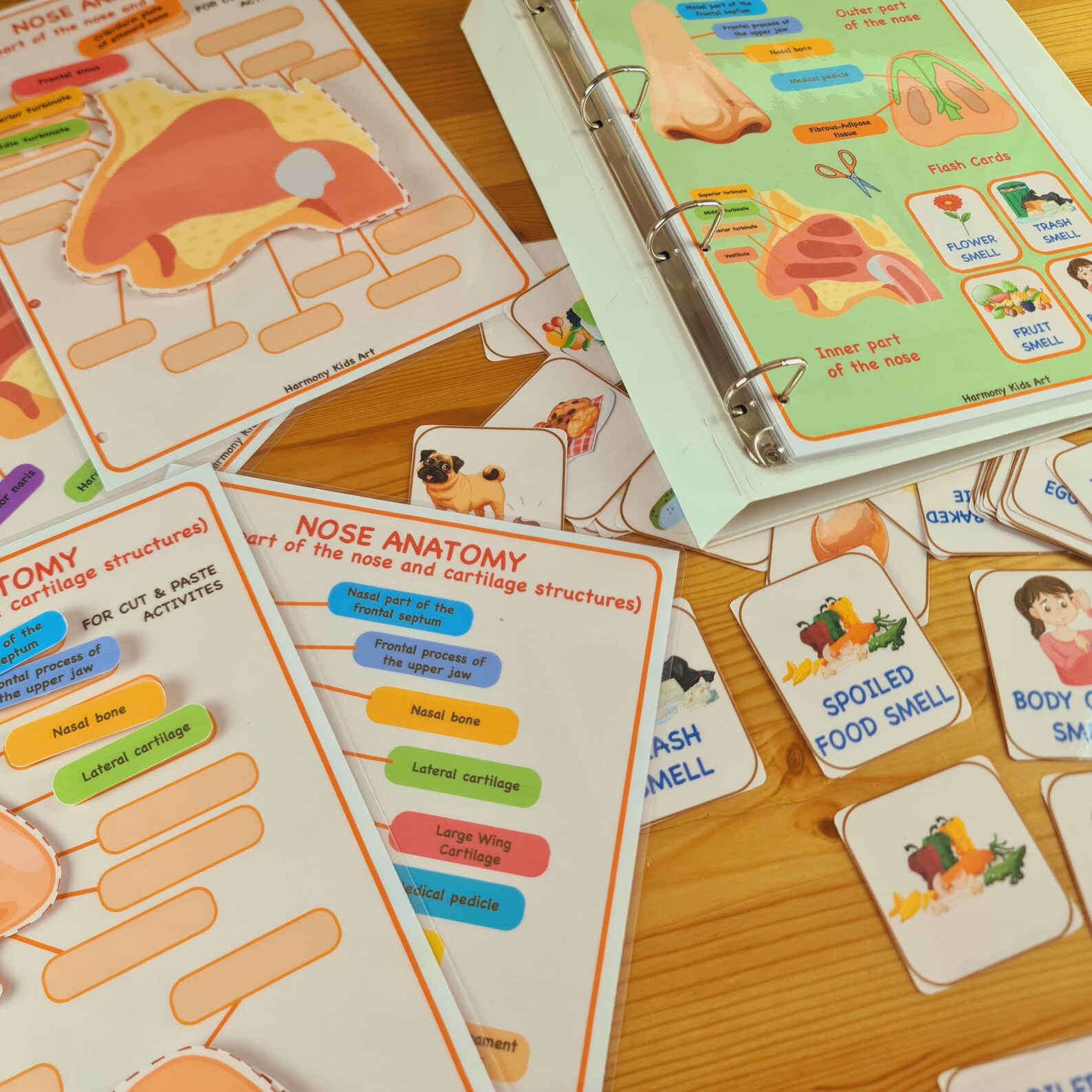 Nose Anatomy Busy Book: Montessori Homeschool Printable (digital ...