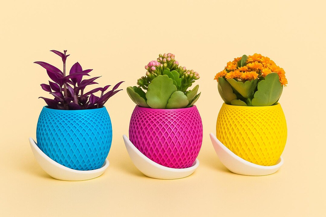 Colorful and Custom Plant Pots for Indoor Plants Like Succulents and ...