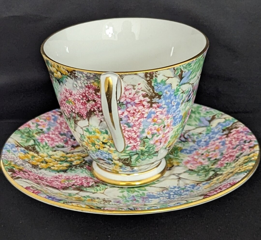 Shelley Fine Bone Chintz Cup and Saucer "rock Garden" Perfect for ...
