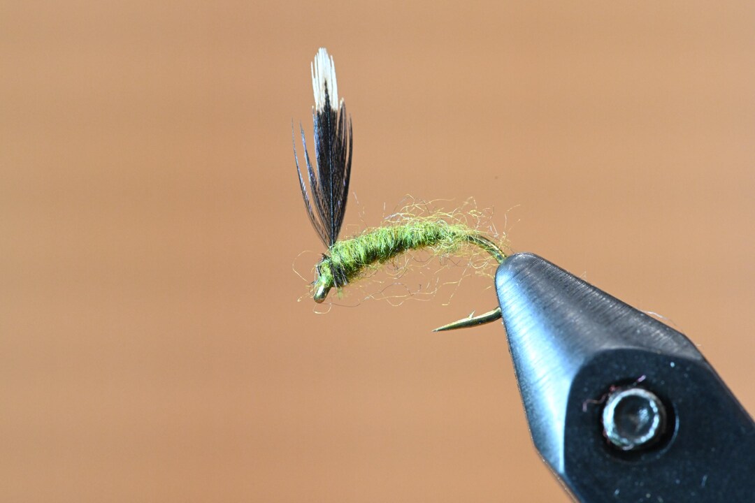 Green Bean - Emerger Dry Fly - 3 Pack - Etsy