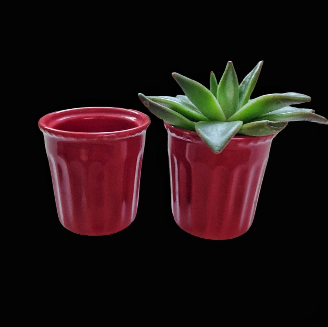 2 Cute Mini Ribbed Flower Pots in Dark Red. - Etsy