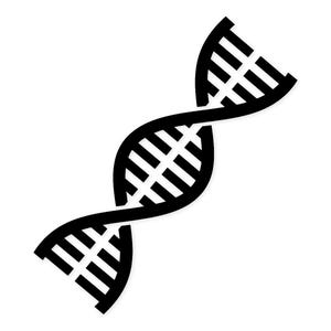 Dna Helix Svg Png: Bold Cut File for Crafting - Etsy