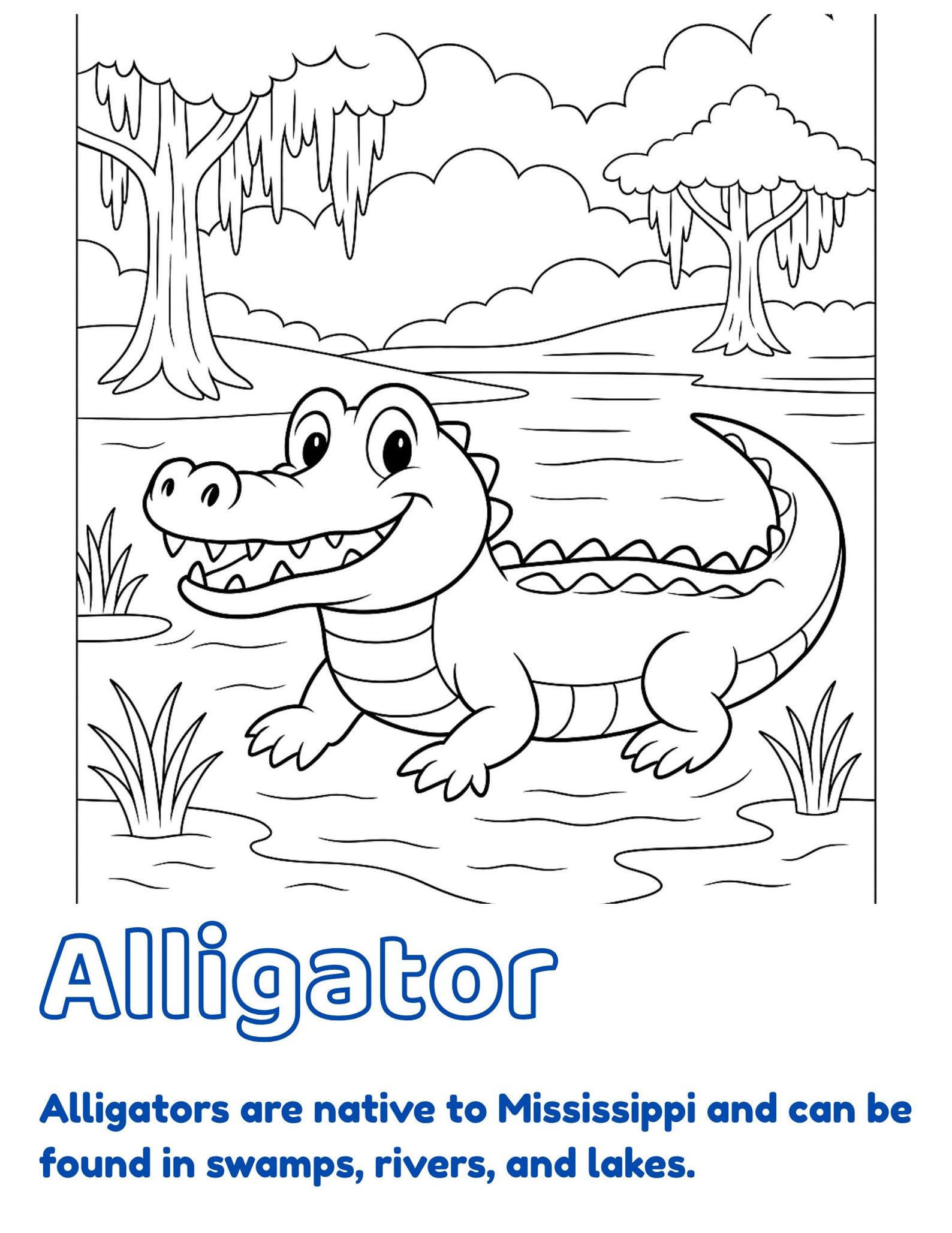 Abcs of Mississippi Coloring Book - Etsy