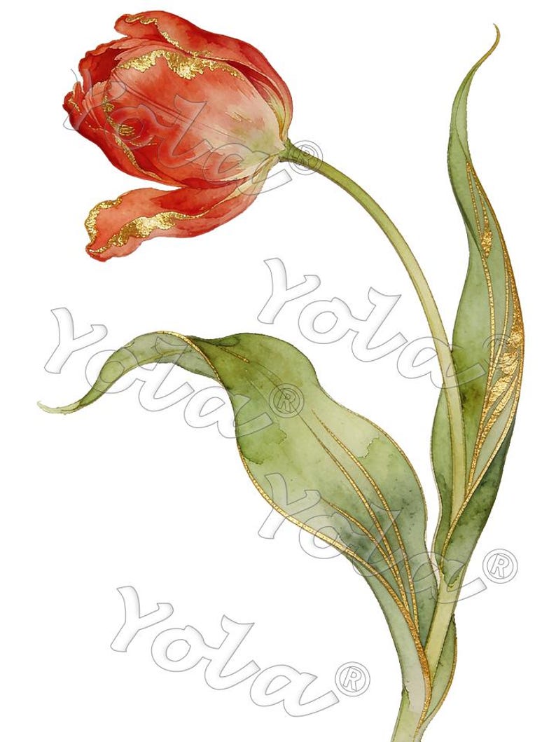 Clipart Red Tulips for Coloring Pages, Prints, Journaling, Scrapbooking ...