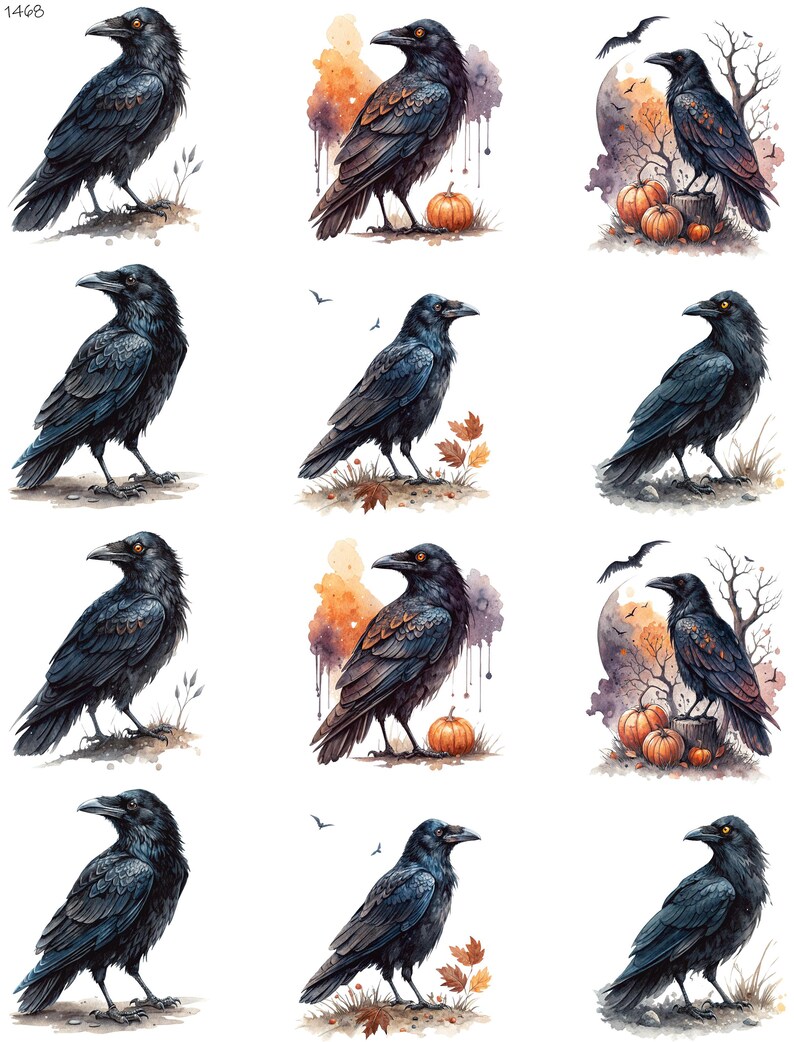 Crow With A Splash of Color - Etsy