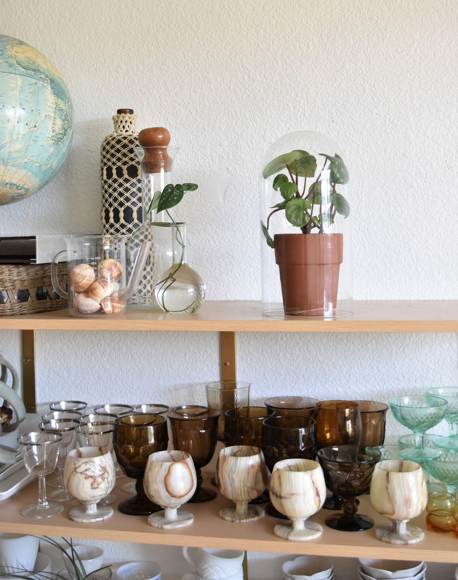Large Glass Dome Cloche / Curio Display Box / Curiosity / | Etsy
