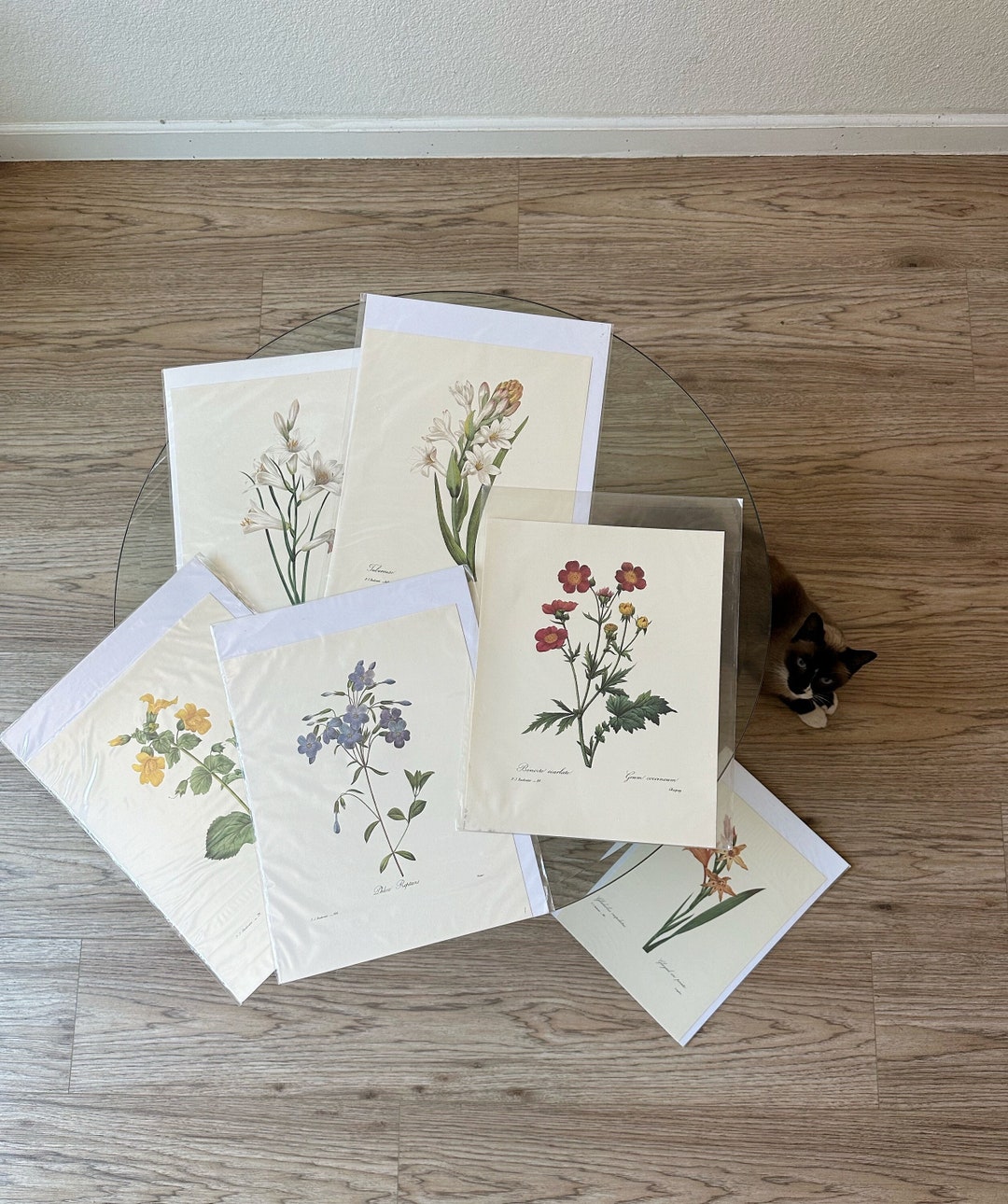 Large Botanical Garden Flower Illustrated Bookplate Set / Flower ...