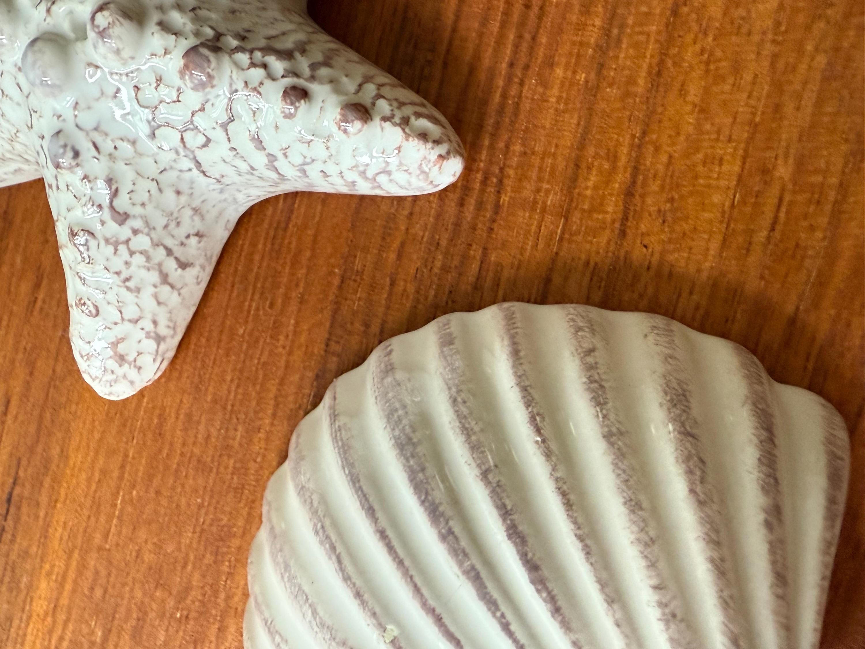 Modern White Ceramic Clam Shell Starfish Salt and Pepper Shaker Set - Etsy