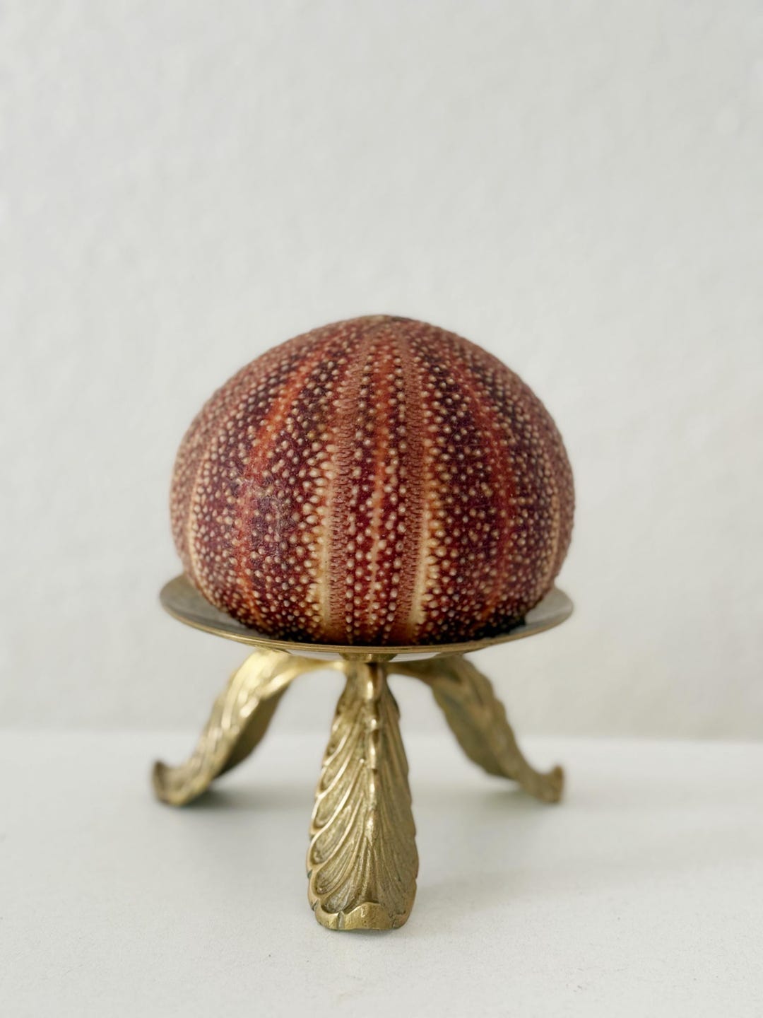 Vintage Sea Urchin Percussive Shaker by Ben Rickert : Mid Century ...
