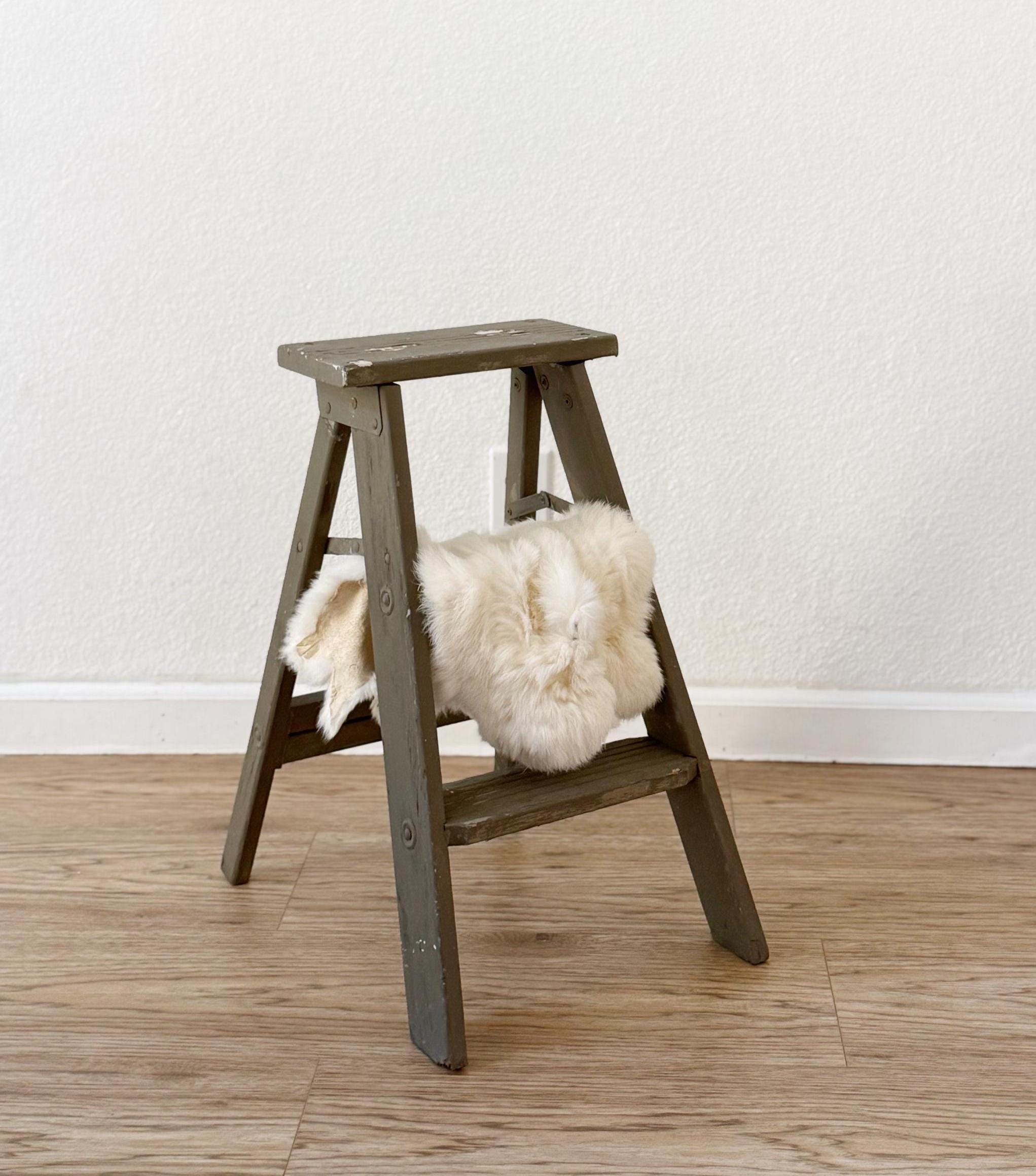 Werner wooden step ladder store