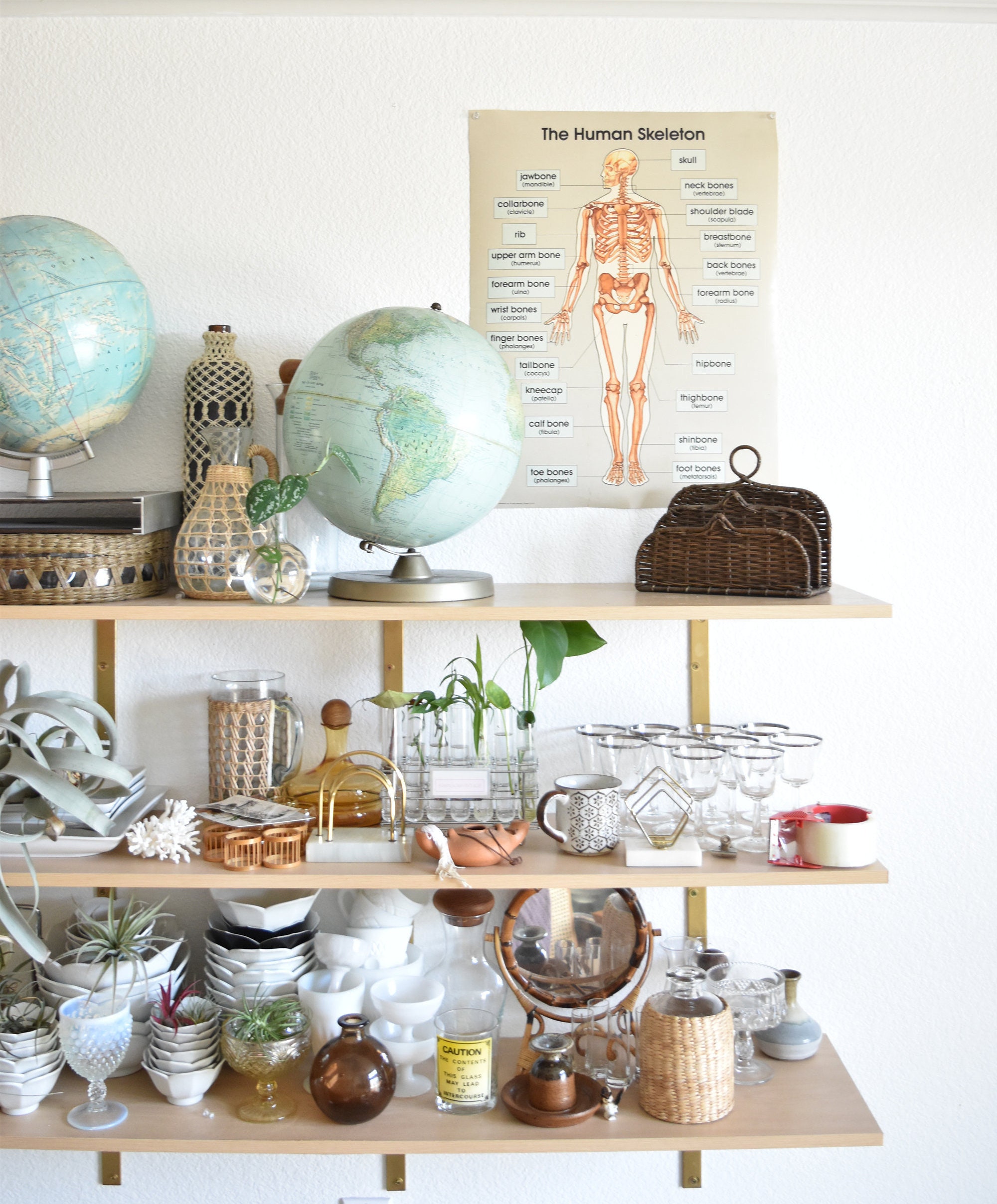 1980s Human Body Skeletal Chart Poster Size / Anatomical / | Etsy UK 1980s Human Body Skeletal Chart Poster Size / Anatomical / | Etsy UK