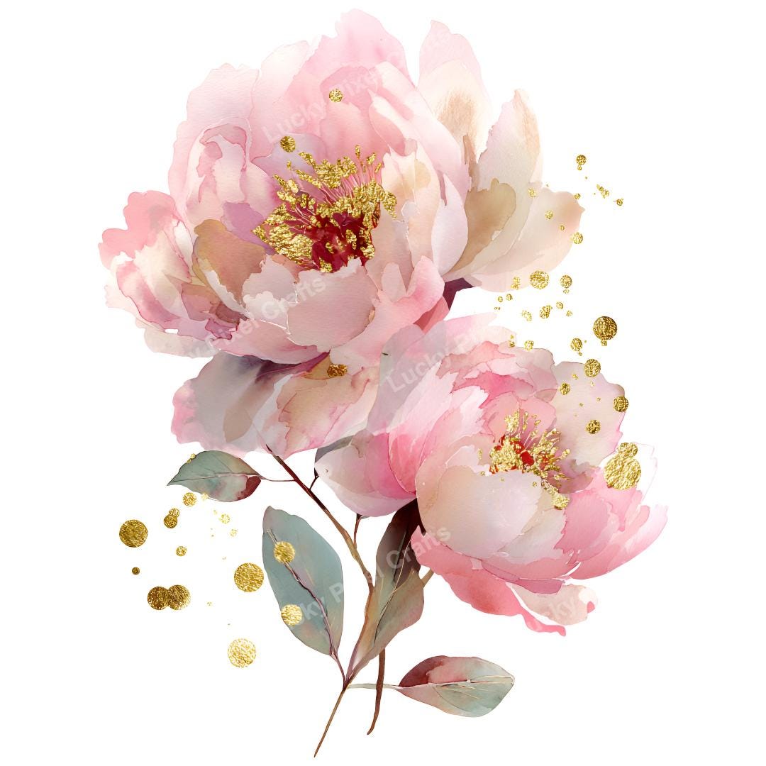 Watercolor Peony Clipart, Floral Spring PNG (digital Download) - Etsy