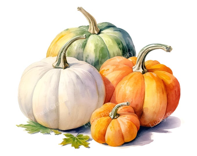 Boho Pumpkin Clipart Set, 10 Jpgs of Whimsical Halloween Illustrations ...