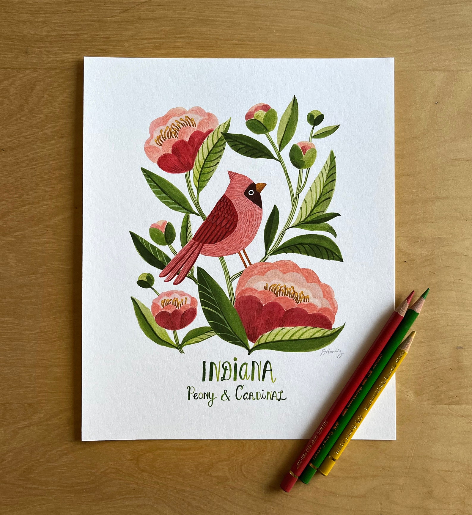 Indiana State Bird Art Print, Indiana State Flower Art Print, Indiana ...