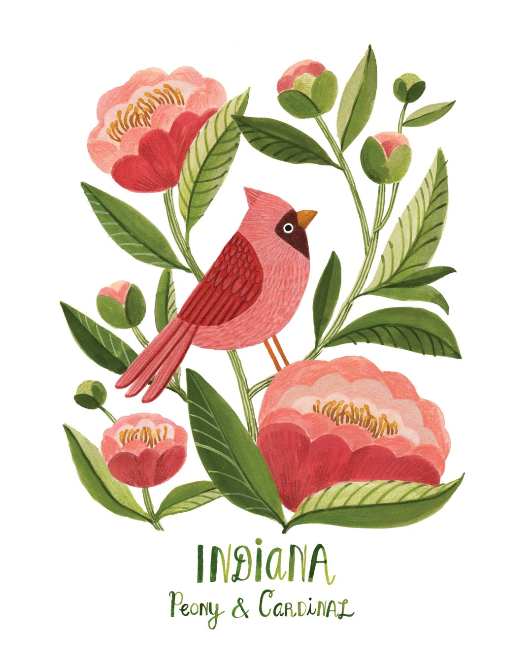 Indiana State Bird Art Print, Indiana State Flower Art Print, Indiana ...